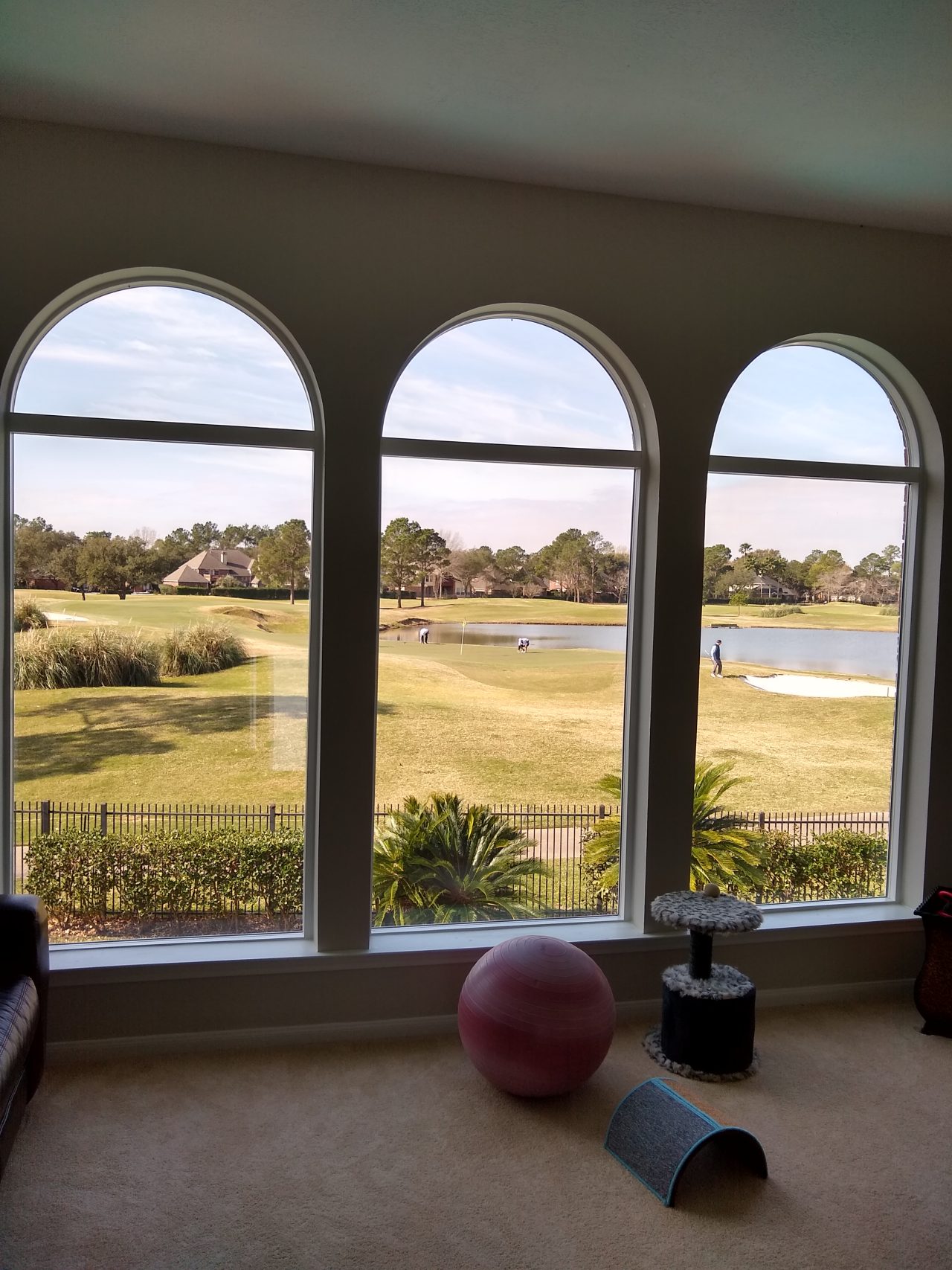 How Custom Modern Windows Can Elevate Your Home | Houston